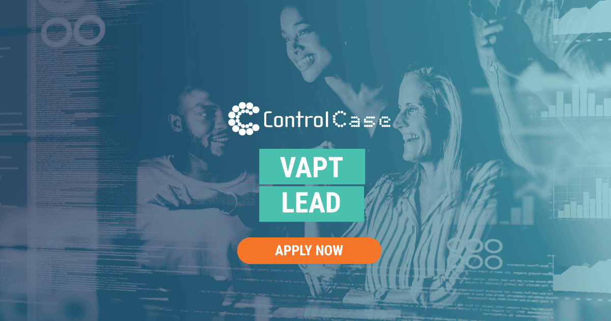 VAPT Lead - Drive Penetration Testing & Cybersecurity Excellence ...